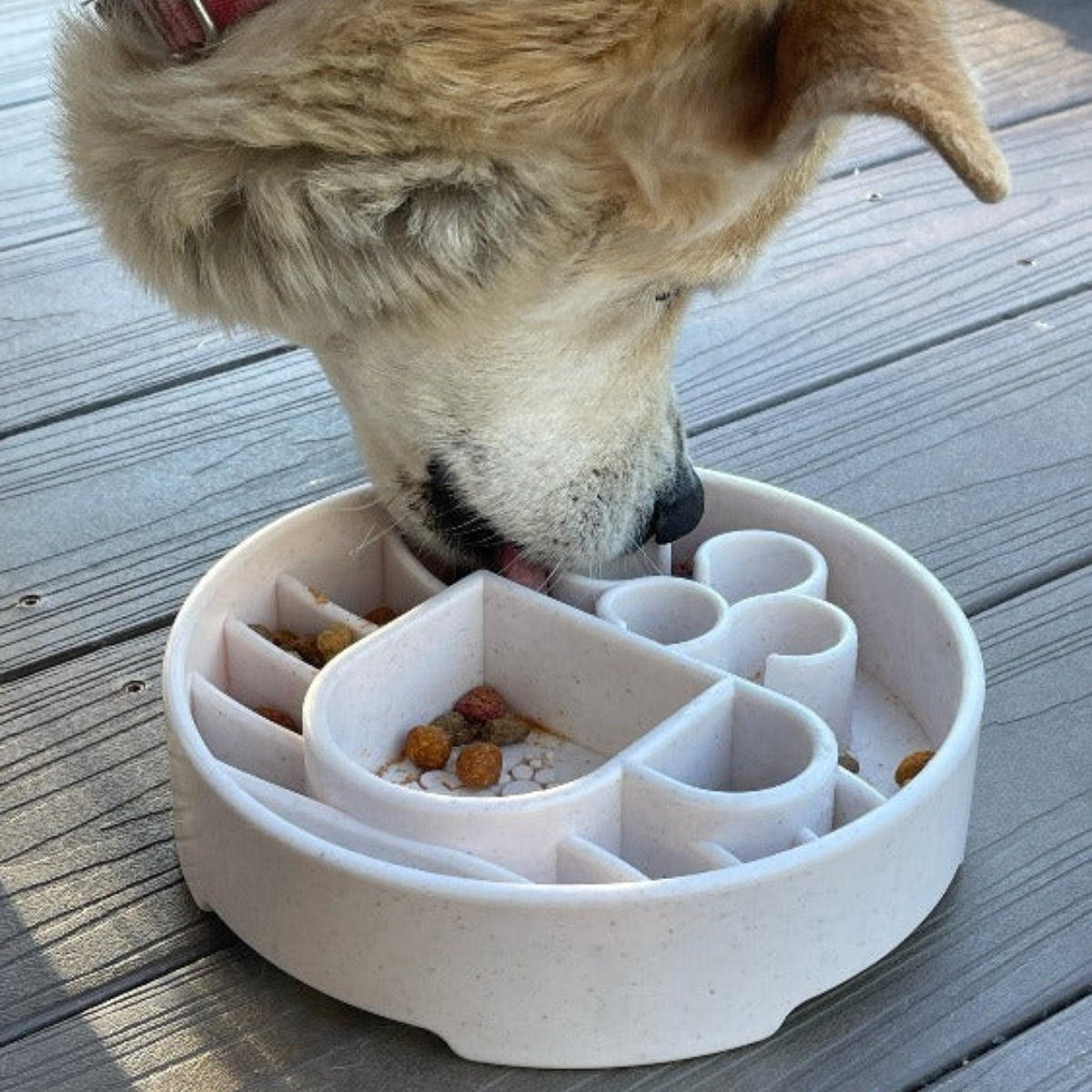 Sodapup Java Slow Feeder Bowl For Dogs – Poudre Pet and Feed Supply Sodapup Java Slow Feeder Bowl For Dogs – Poudre Pet and Feed Supply