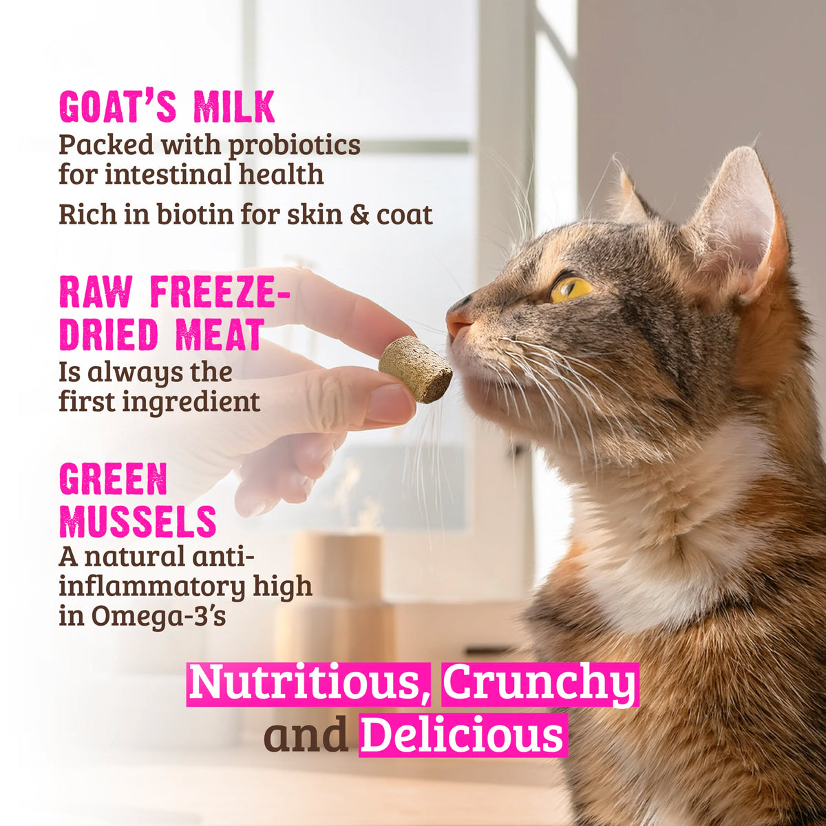 Rawz Freeze Dried Cat Crunchy Cat Treats - Venison, Goat Milk, & Green – Poudre Pet and Feed Supply