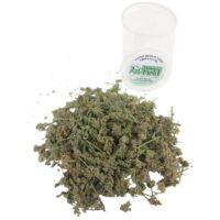 From the Field Organic Catnip Buds - 1oz Tub – Poudre Pet and Feed Supply