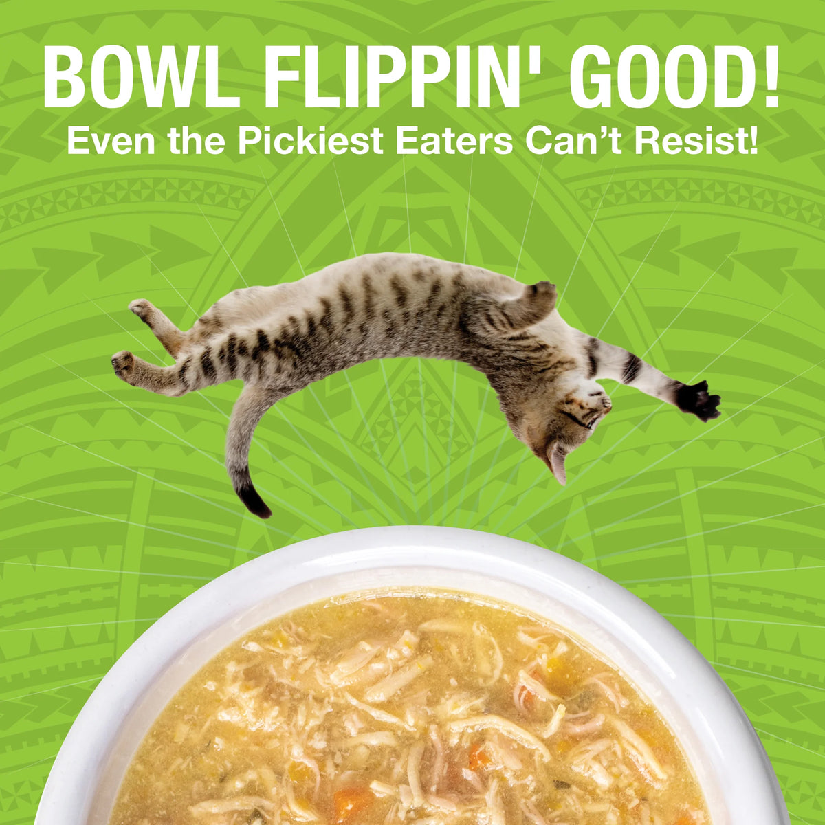 Koha Pure Shreds Wet Cat Food - Chicken & Duck - 5.5oz Can – Poudre Pet ...