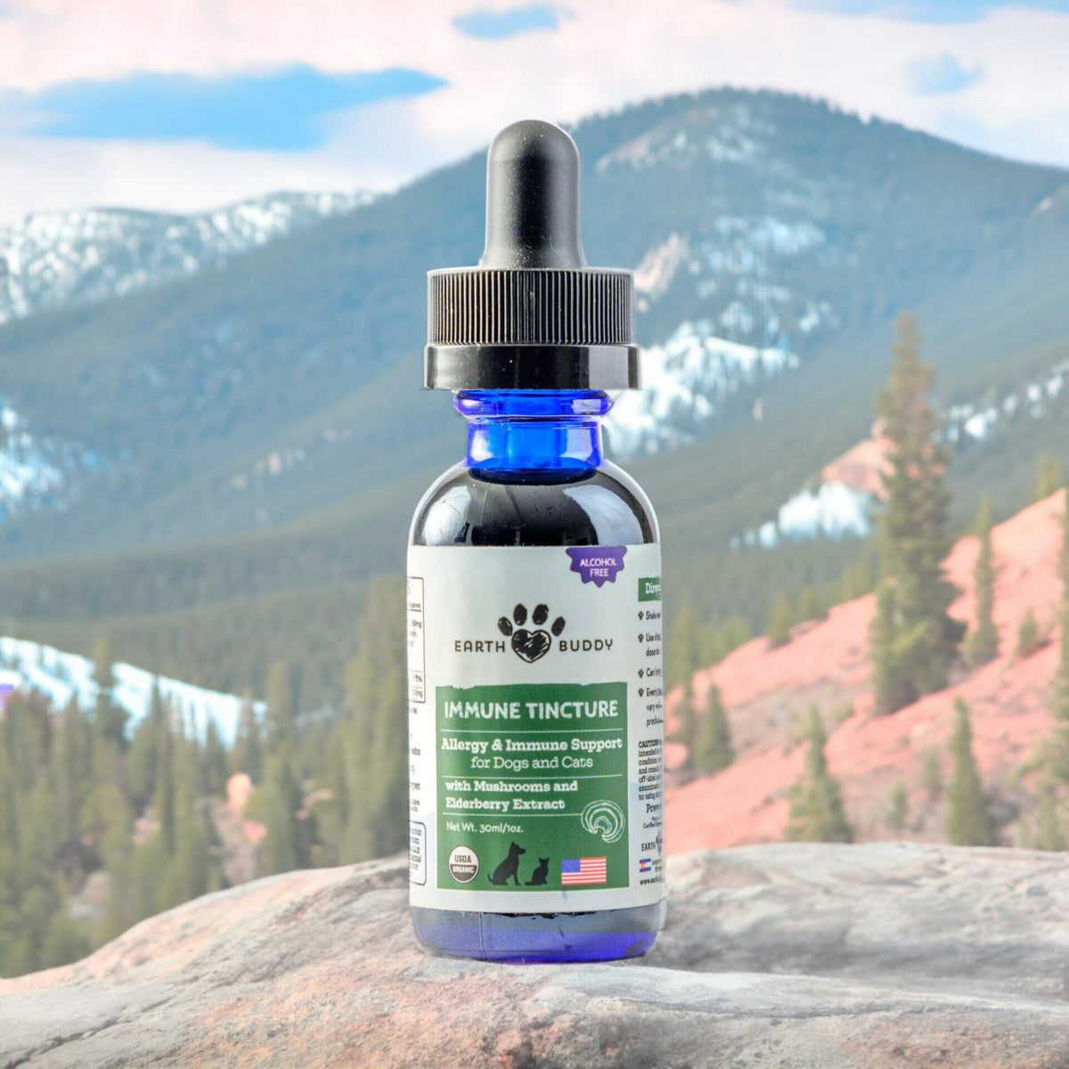 Earth Buddy Immune Tincture – Mushroom Elderberry Allergy & Immune Sup ...