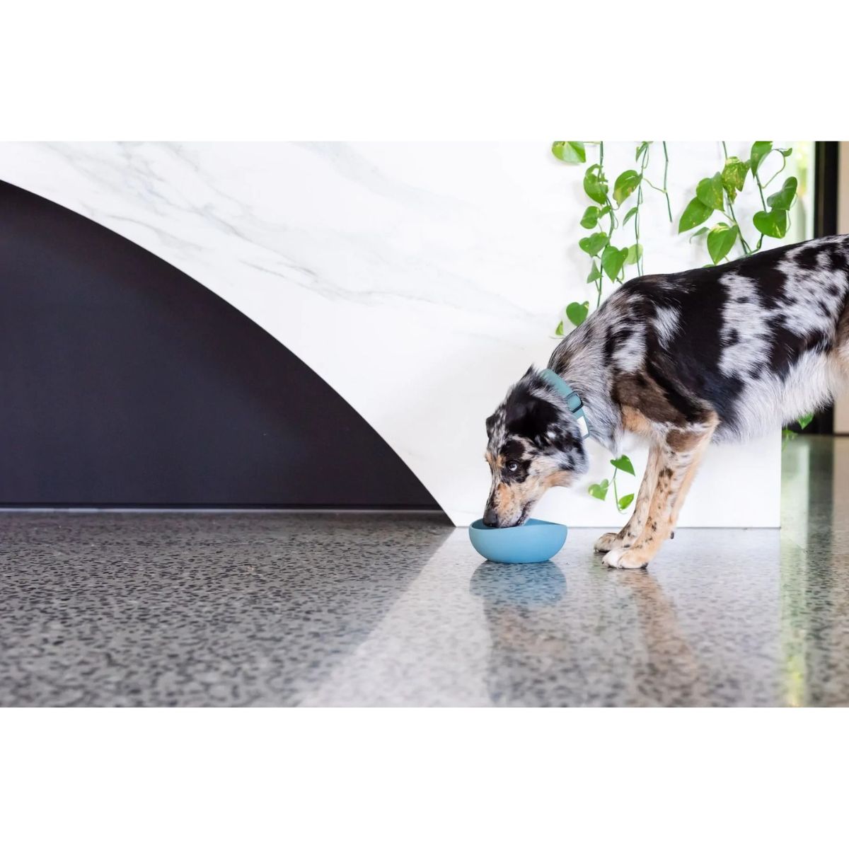 FuzzYard Life Silicone Bowl French Blue Small – Poudre Pet and Feed Supply