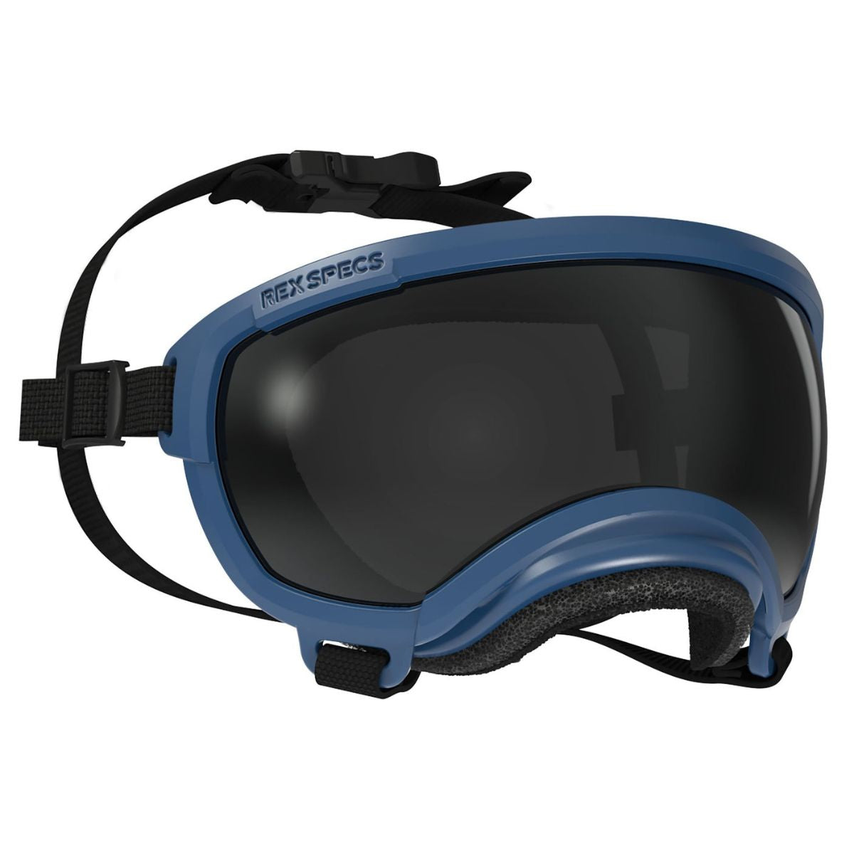 Rex Specs Goggles for Dogs - V2 X-Small Blue – Poudre Pet and Feed Supply