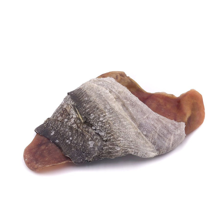 Icelandic Fish Ear Cod Skin Wrapped Pig Ear Dog Treat – Poudre Pet and ...