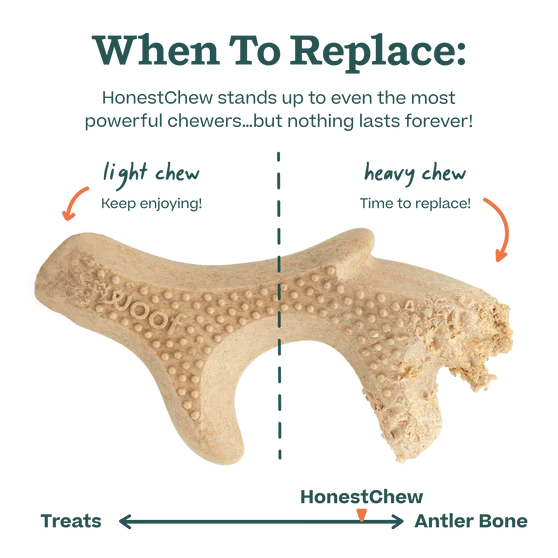 Woof HonestChew Infinity Bone Dog Chew - Large – Poudre Pet and Feed Supply