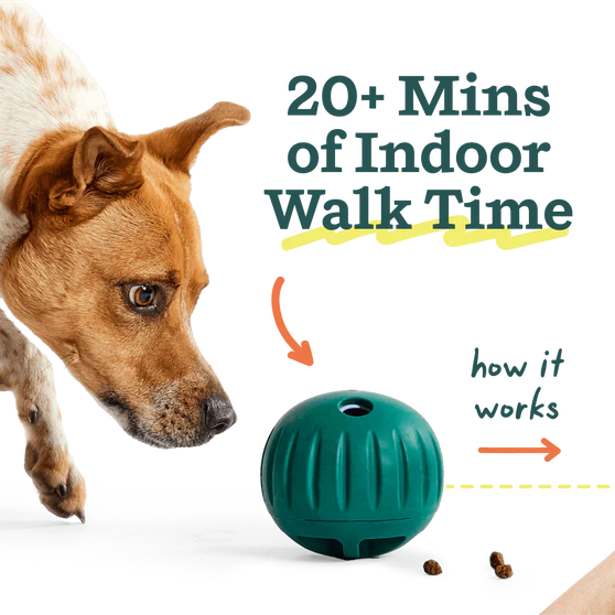 Woof Walkabout Treat Puzzle Dog Toy - Small – Poudre Pet and Feed Supply